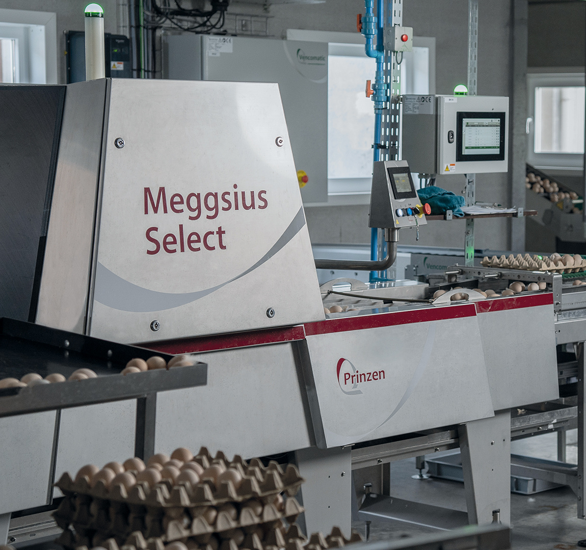 Meggsius Select - Vencomatic Group